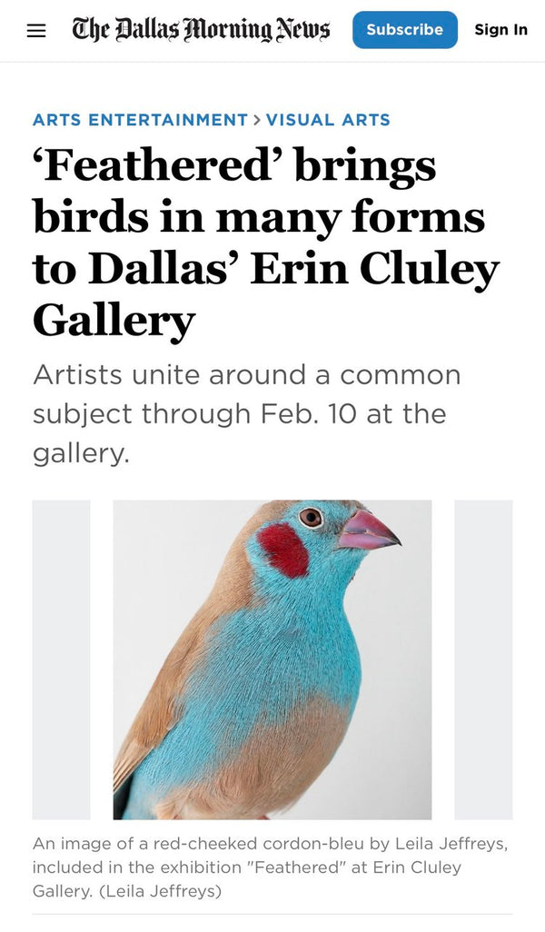 ‘Feathered’ brings birds in many forms to Dallas’ Erin Cluley Gallery